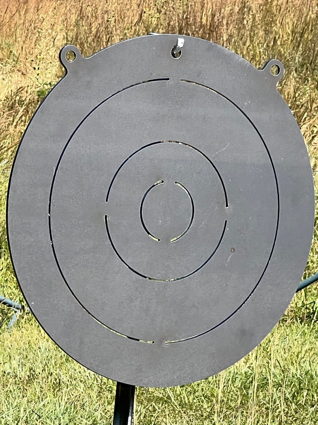 Shop AR500 Steel Gong Shooting Targets- Durable, Precise- EchoGong LLC